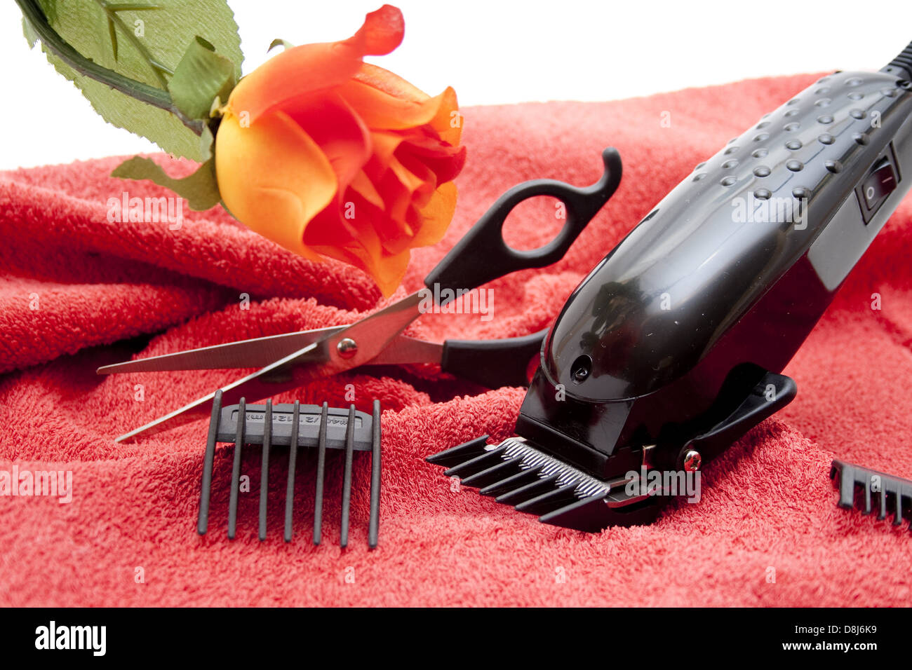 Rose clippers hi-res stock photography and images - Alamy