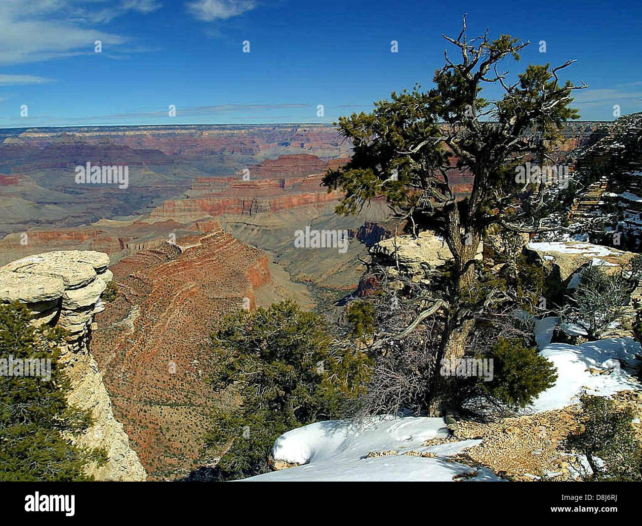 The Grand Canyon, a massive geological formation, is captured in this ...