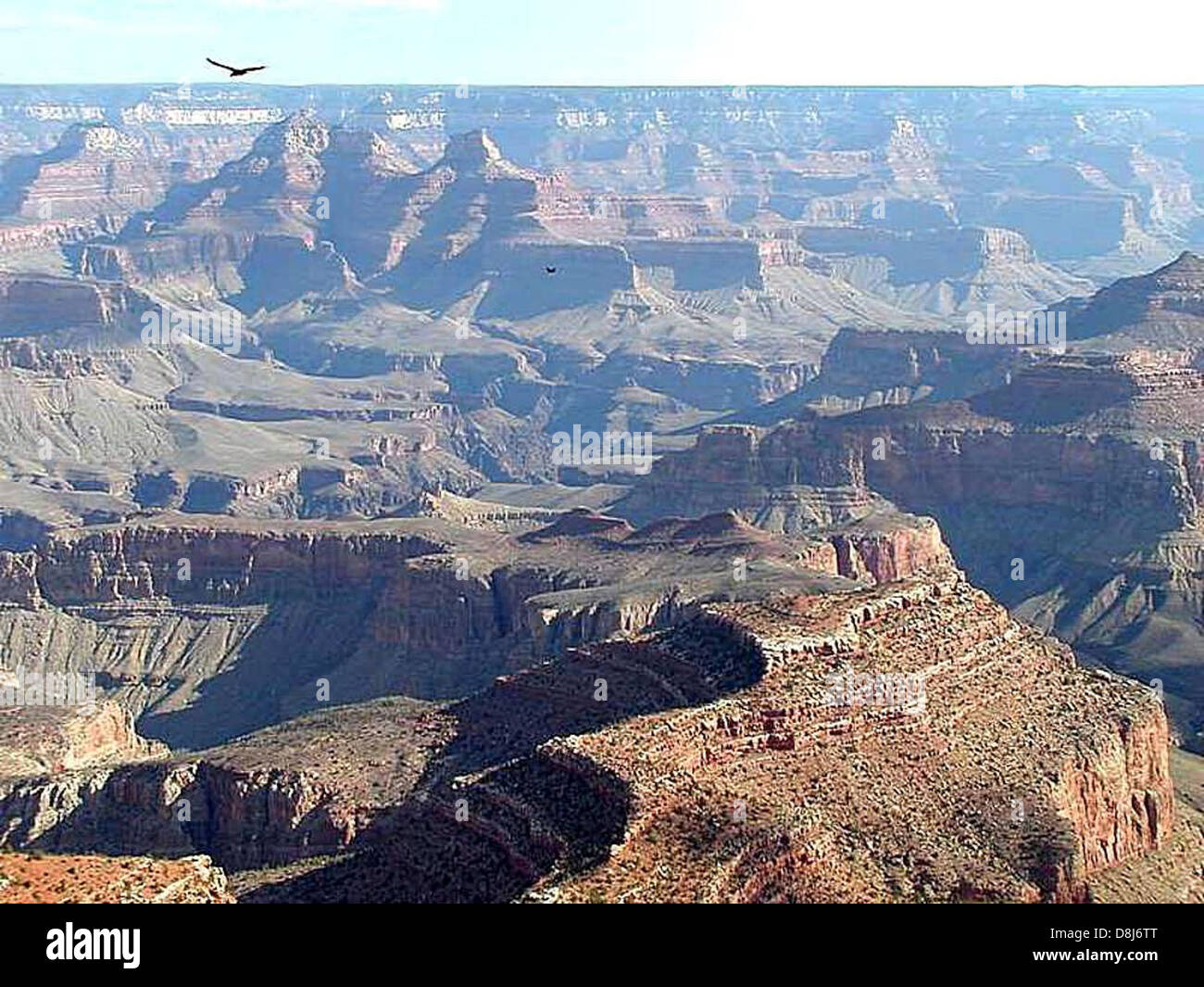 The Grand Canyon, a massive and iconic geological formation, offers a ...