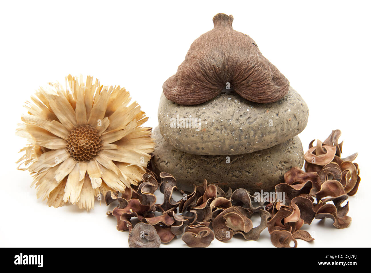 Nut shell on stone Stock Photo - Alamy