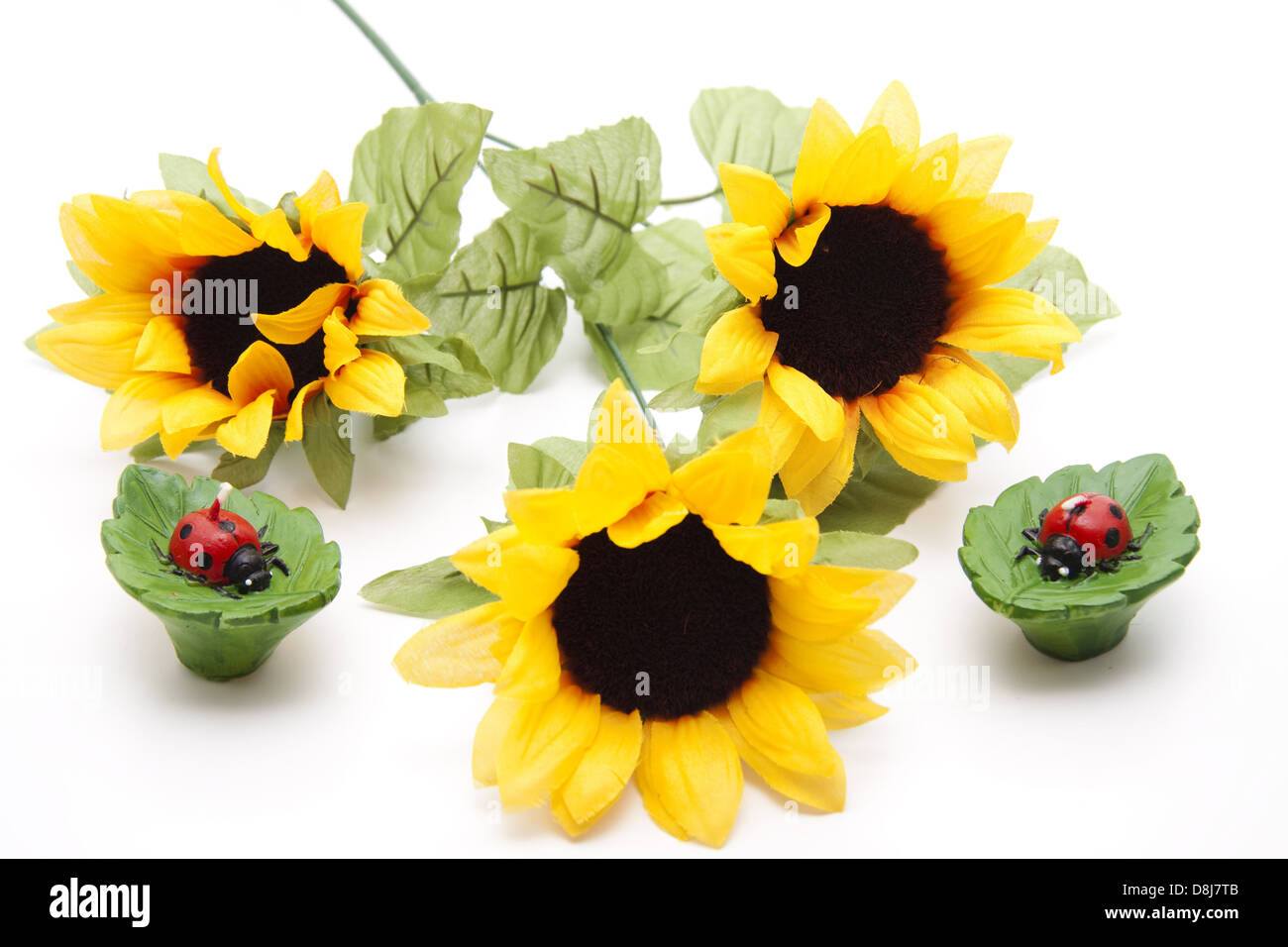 Ladybug sunflower hi-res stock photography and images - Alamy