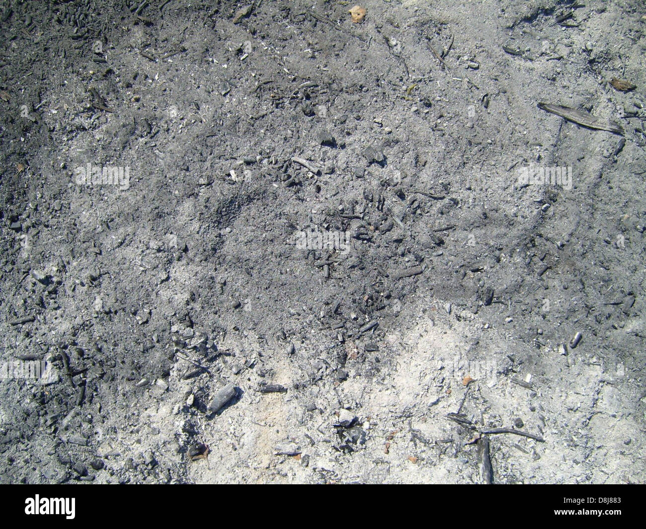 Burned ground hi-res stock photography and images - Alamy