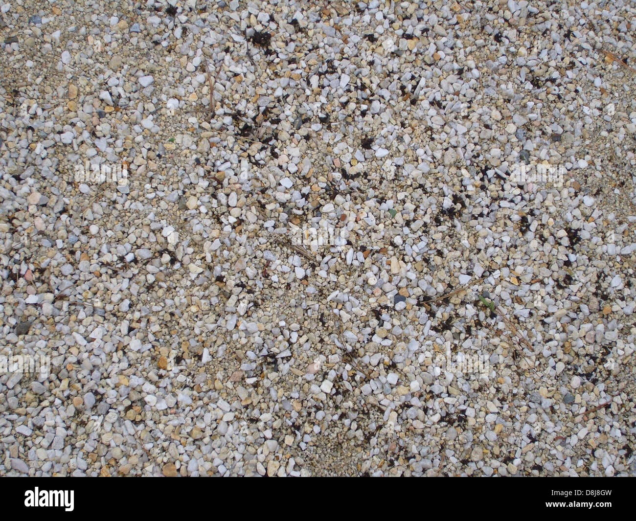 A close-up of the ground showing a mixture of dirt and sand, with ...