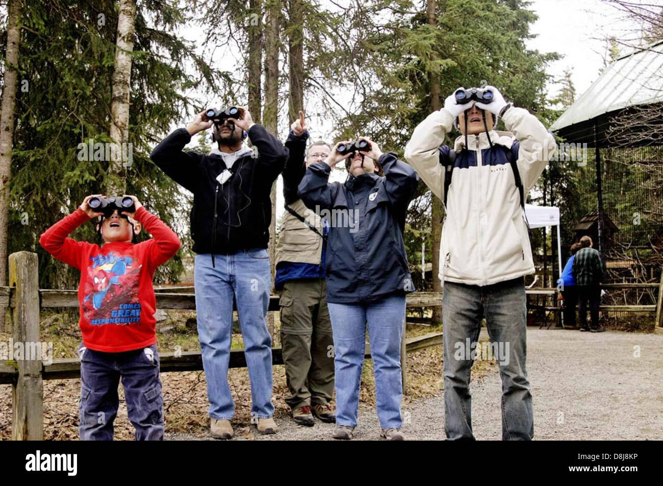 A group of people use binoculars to observe their surroundings ...