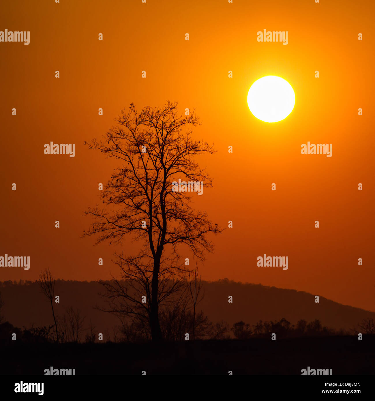 Landscape in the wonderful sunset light Stock Photo - Alamy