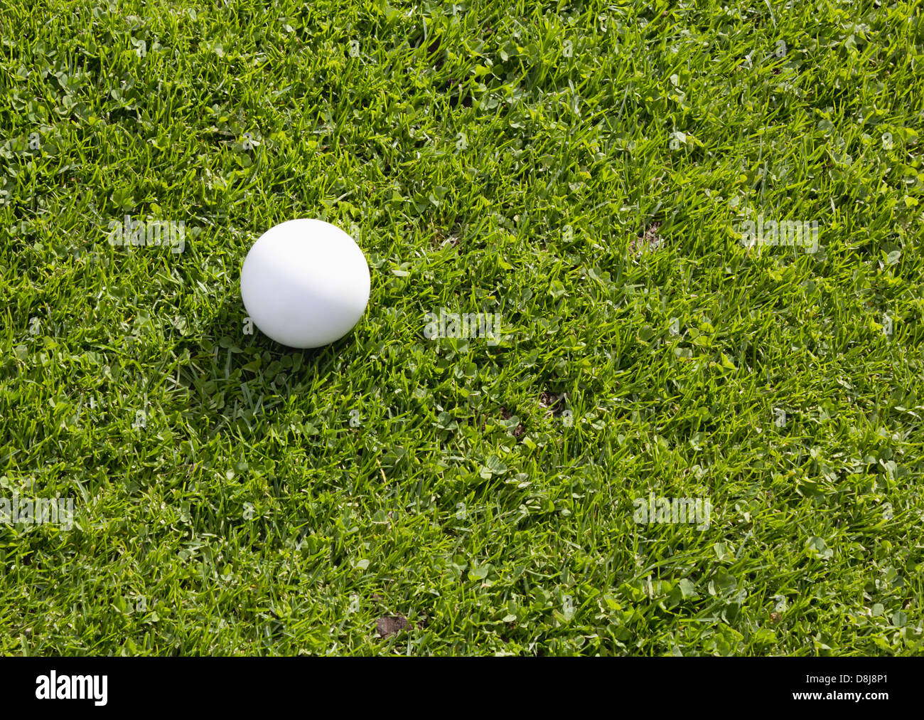 Park golf ball Stock Photo - Alamy