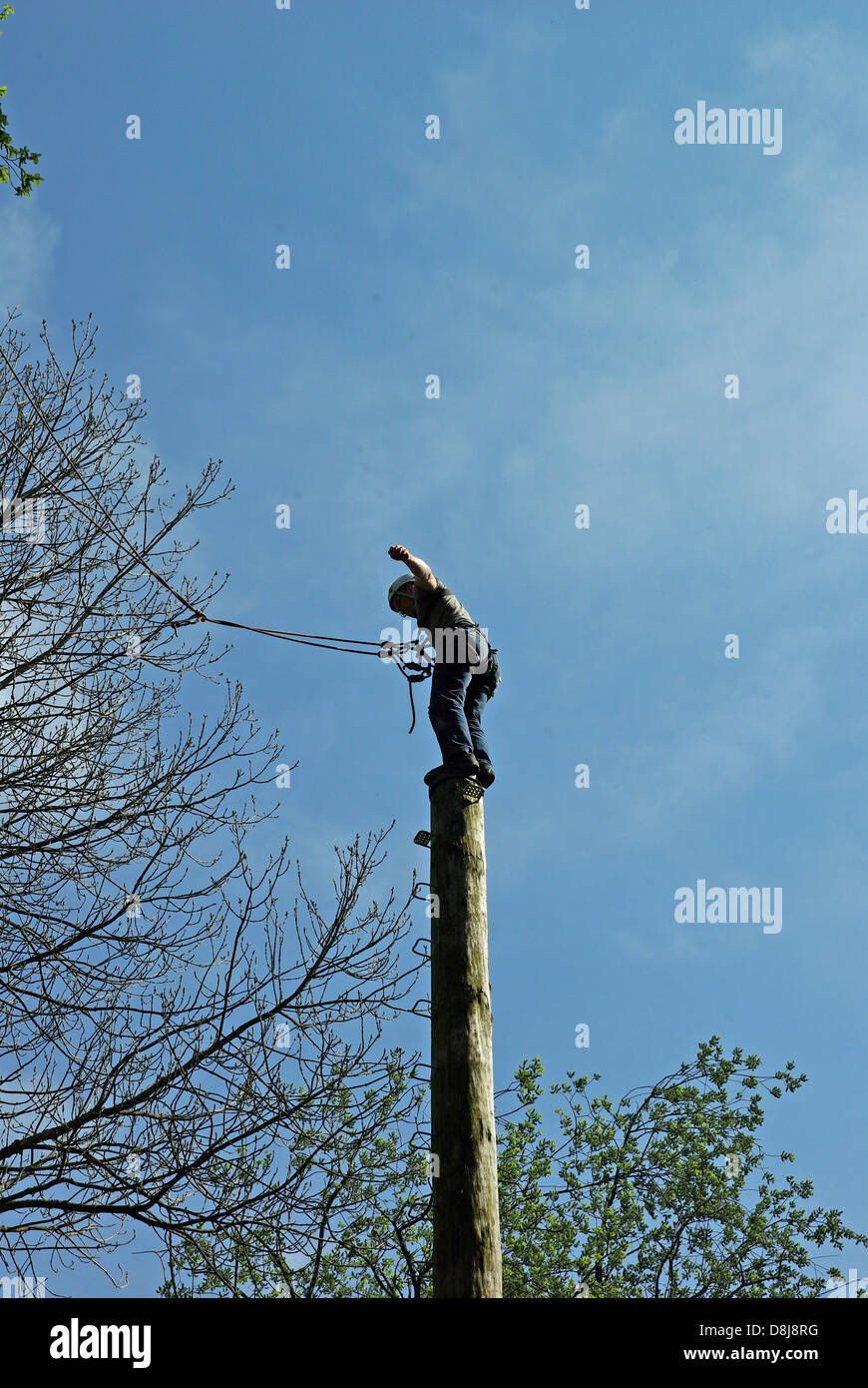 Uprighting on pamper pole hi-res stock photography and images - Alamy