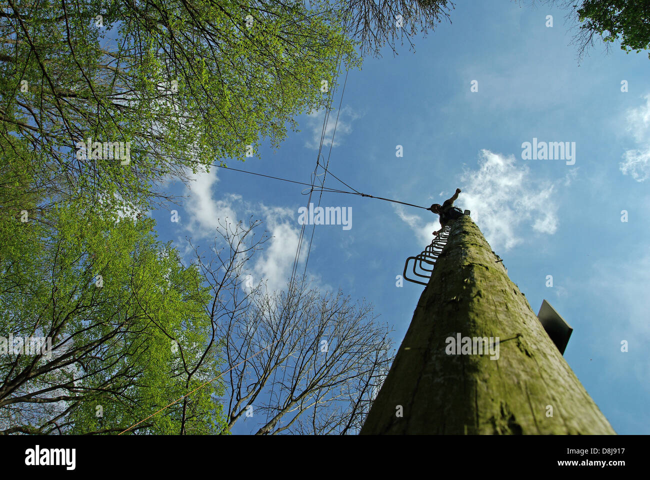 Pamper pole hi-res stock photography and images - Alamy