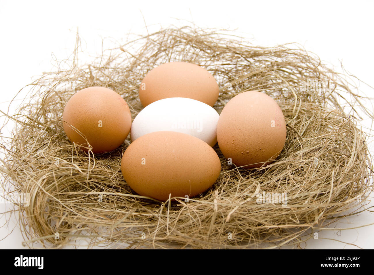 Ei hay hi-res stock photography and images - Alamy