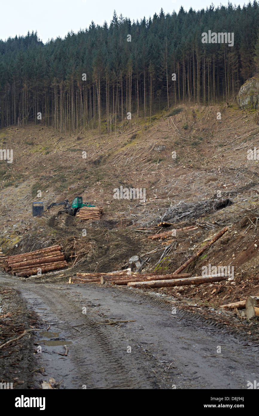 Polloch hi-res stock photography and images - Alamy