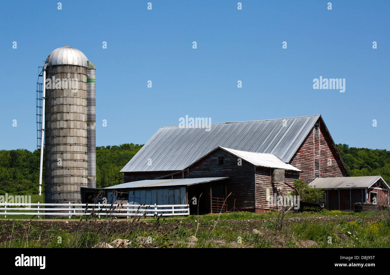 New York rural farm barn and silo Stock Photo - Alamy