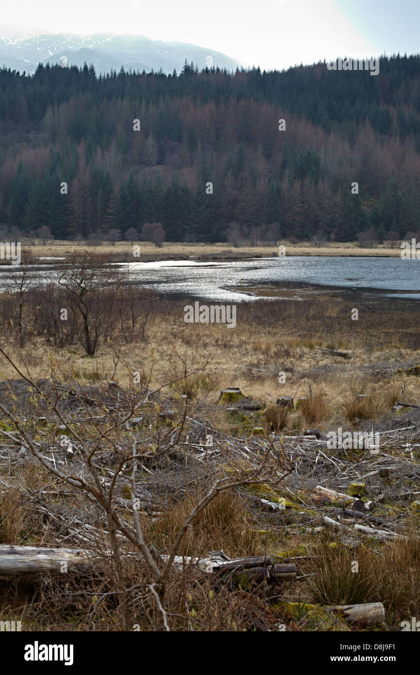 Polloch hi-res stock photography and images - Alamy