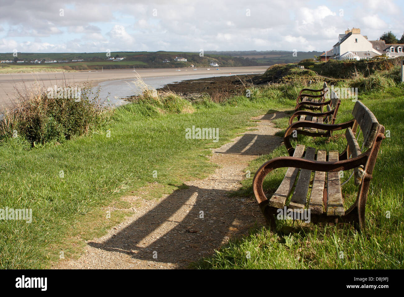 The parrog hi-res stock photography and images - Alamy