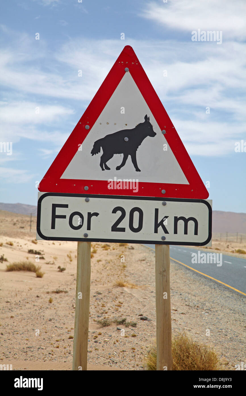 Brown Hyena Parahyaena Brunnea High Resolution Stock Photography and ...