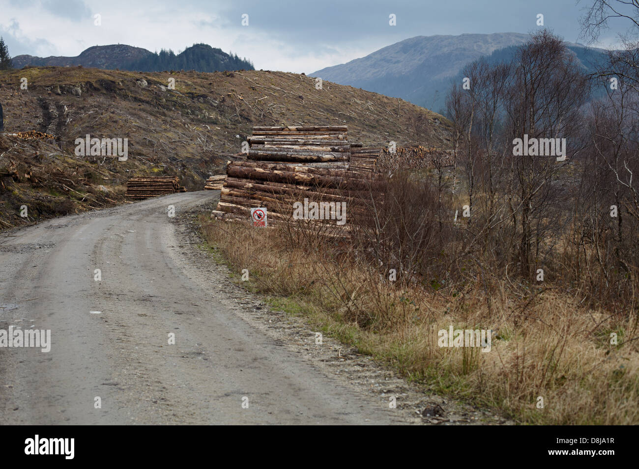 Polloch hi-res stock photography and images - Alamy