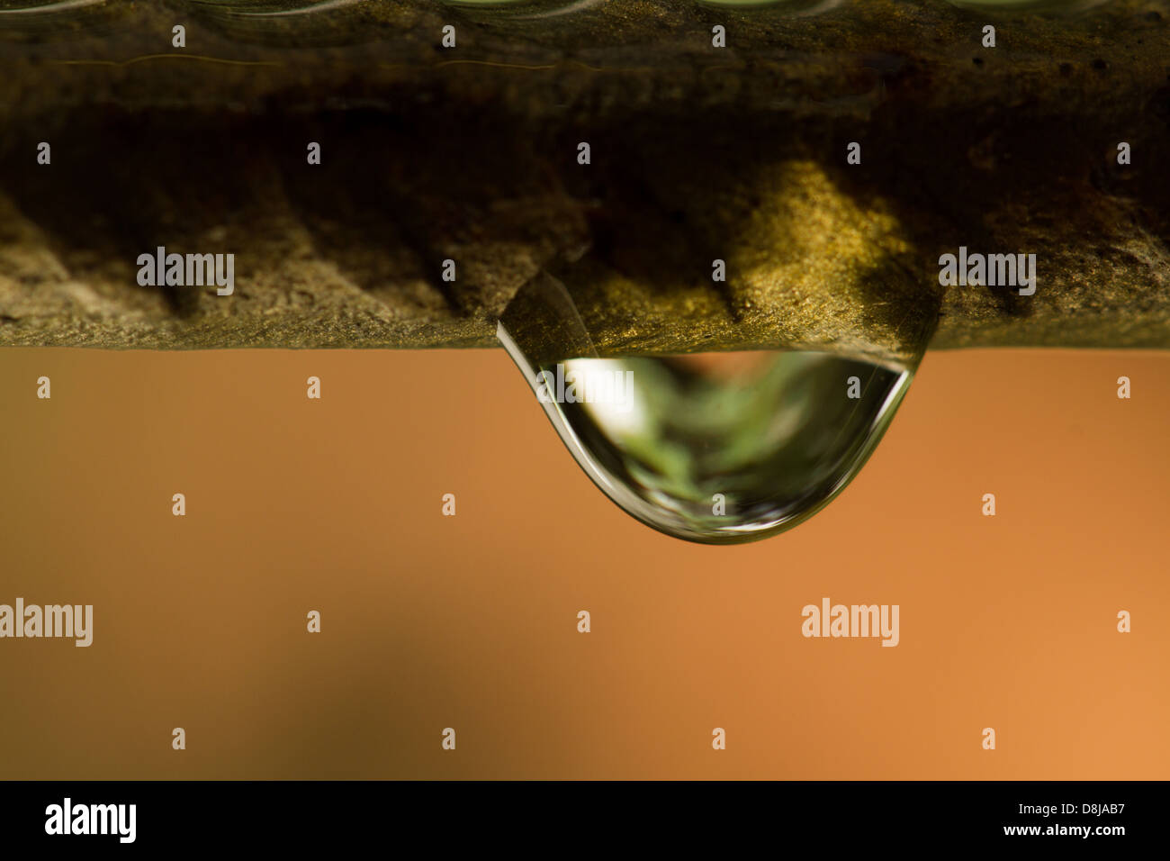 Wire close hi-res stock photography and images - Alamy