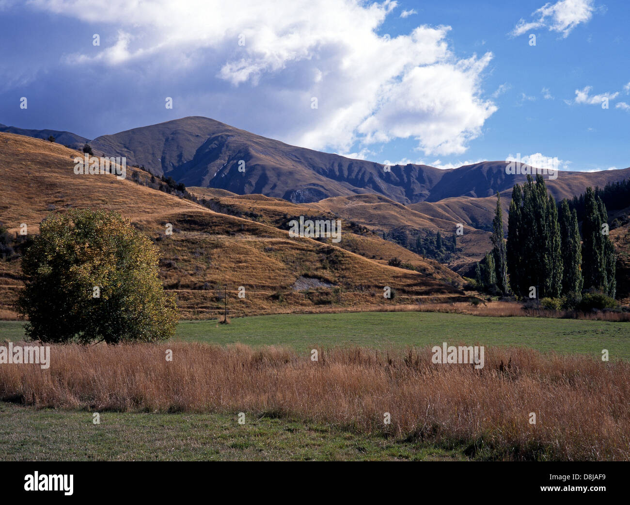 Cardrona valley hi-res stock photography and images - Alamy