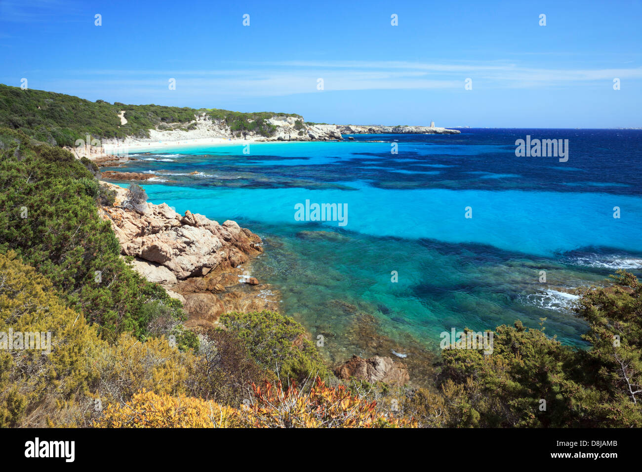 Macchia corsica hi-res stock photography and images - Alamy