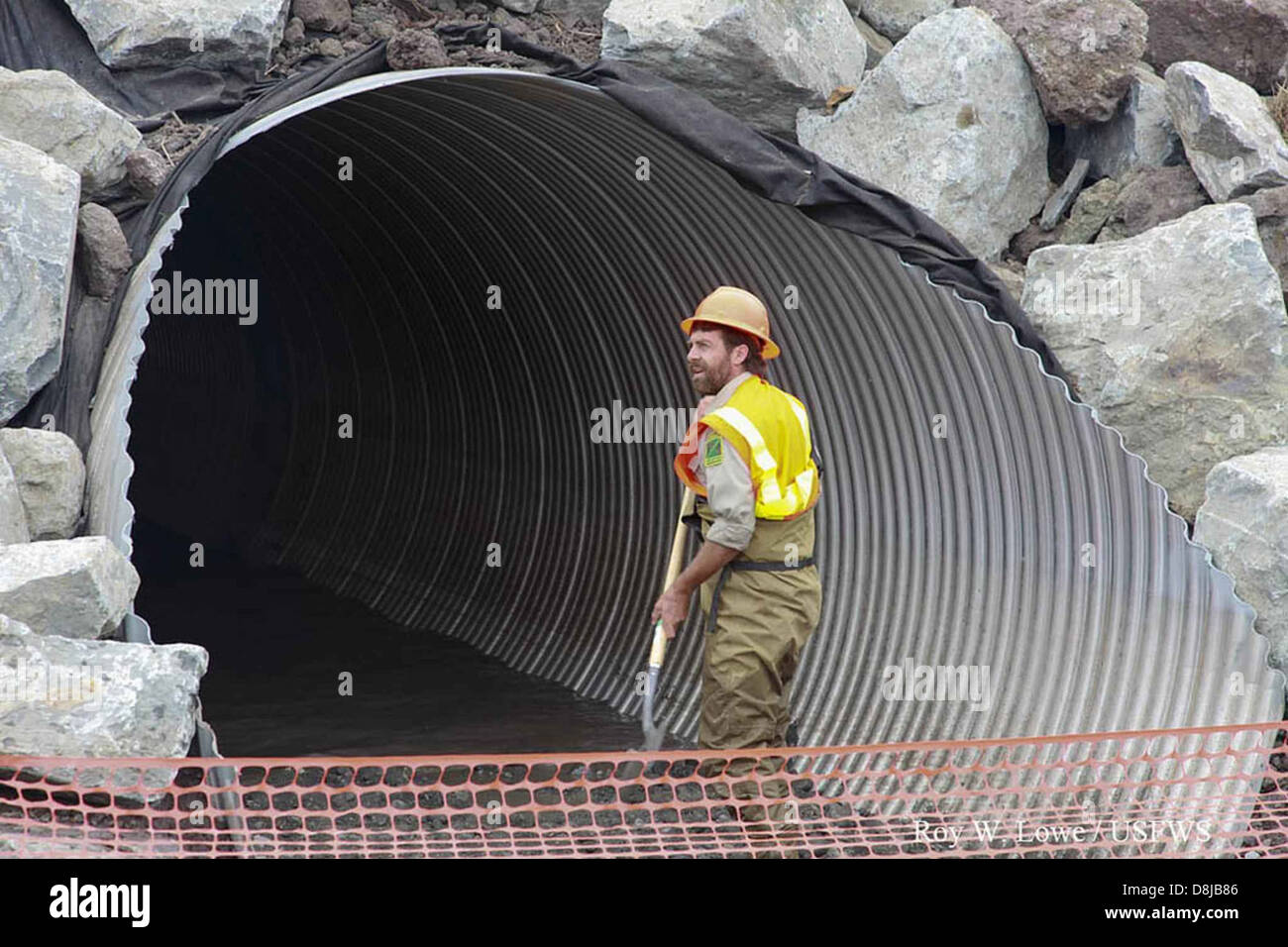 Installation of stream bedding material in the creek culvert Stock ...
