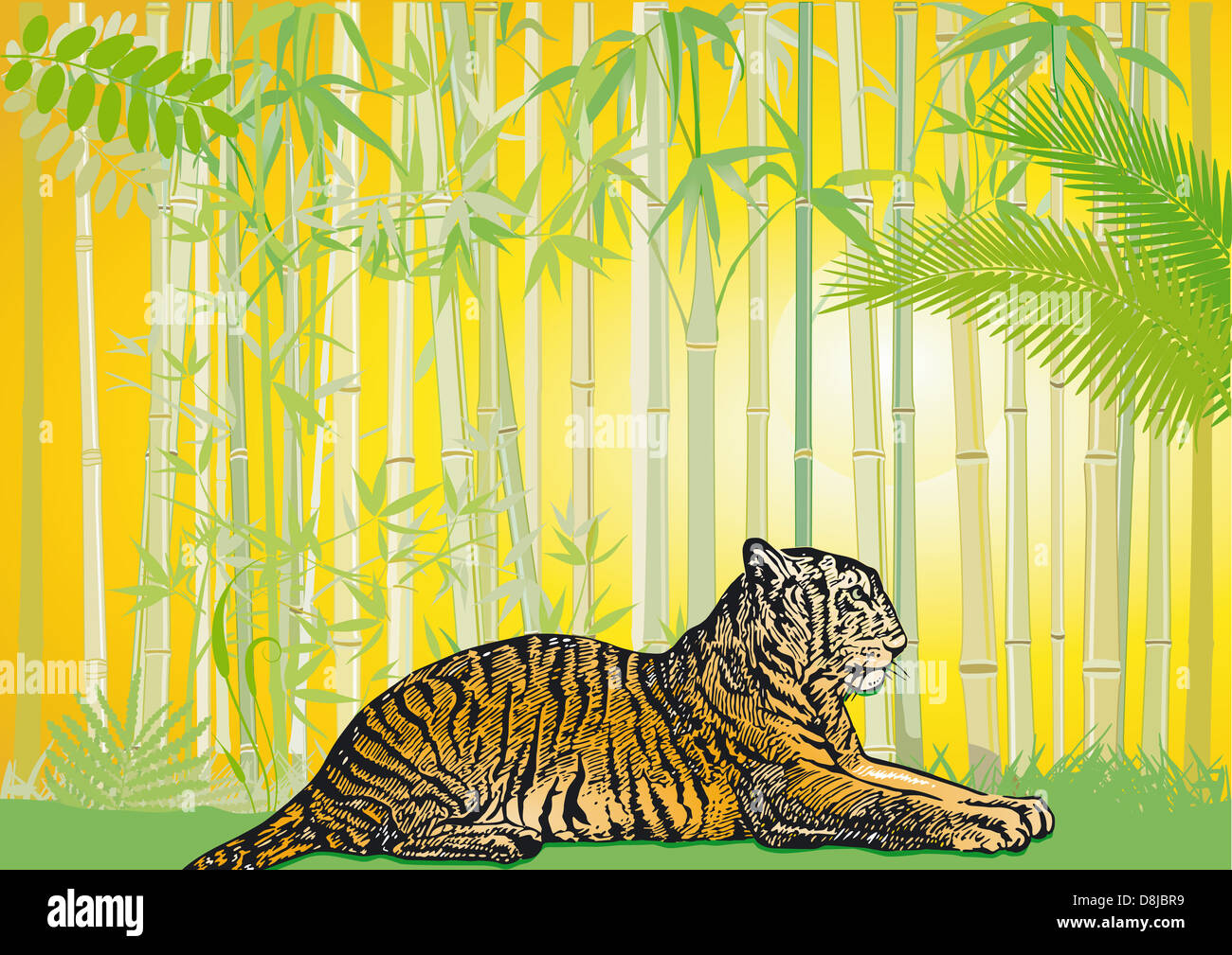 Asian Tiger in the jungle Stock Photo - Alamy