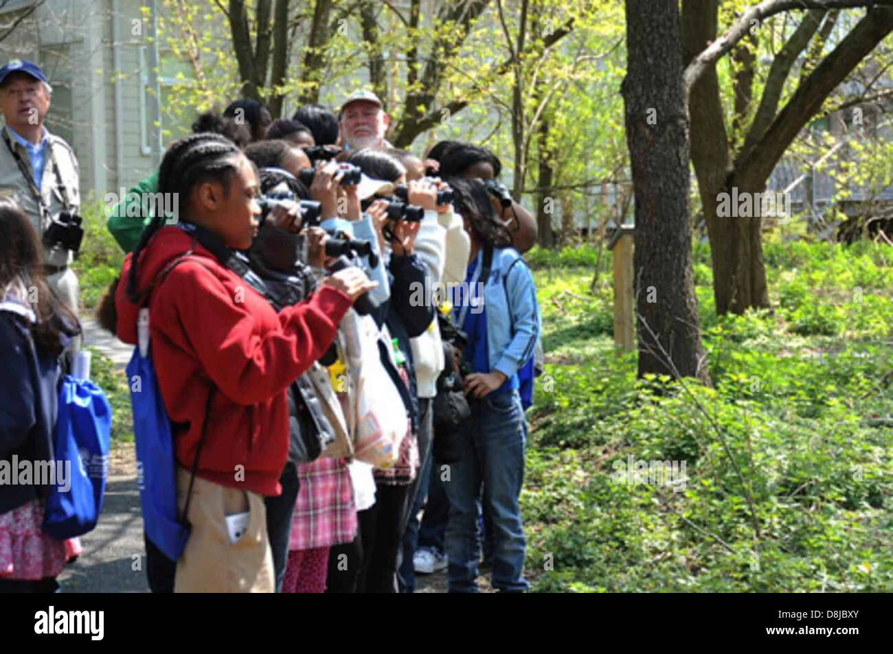 Kids students birdwatching Stock Photo - Alamy