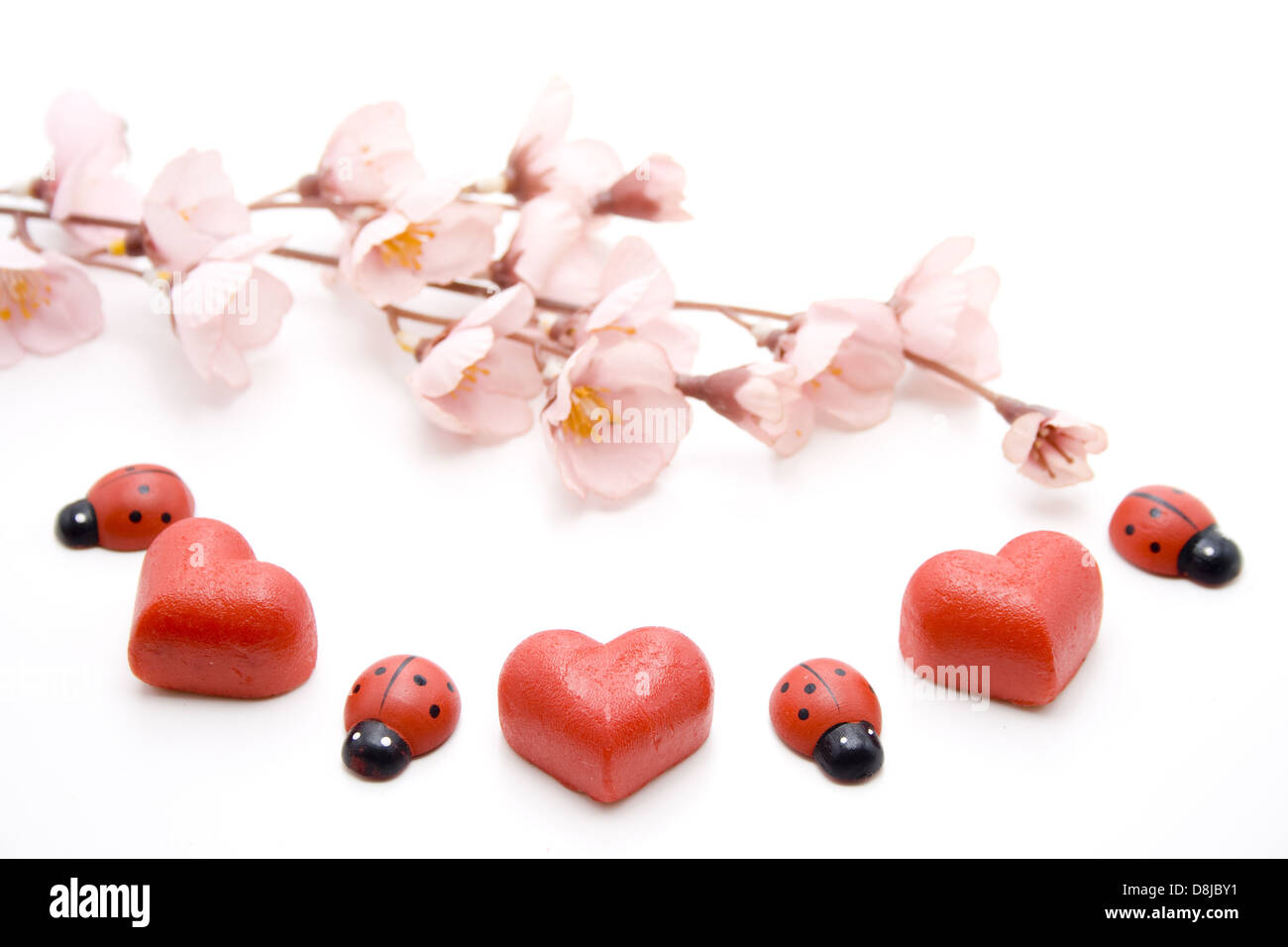 Ladybug with heart Stock Photo - Alamy