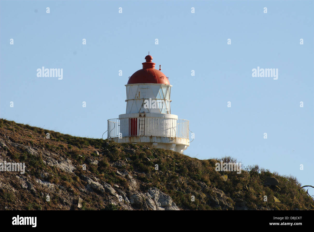 Taiaroa head lighthouse hi-res stock photography and images - Alamy