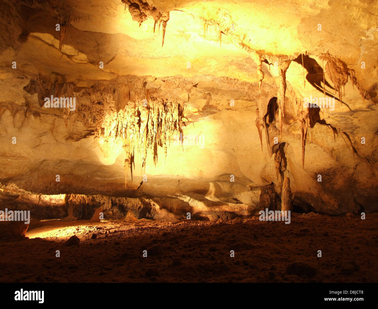 A photograph of intricate limestone formations inside a cave. These ...