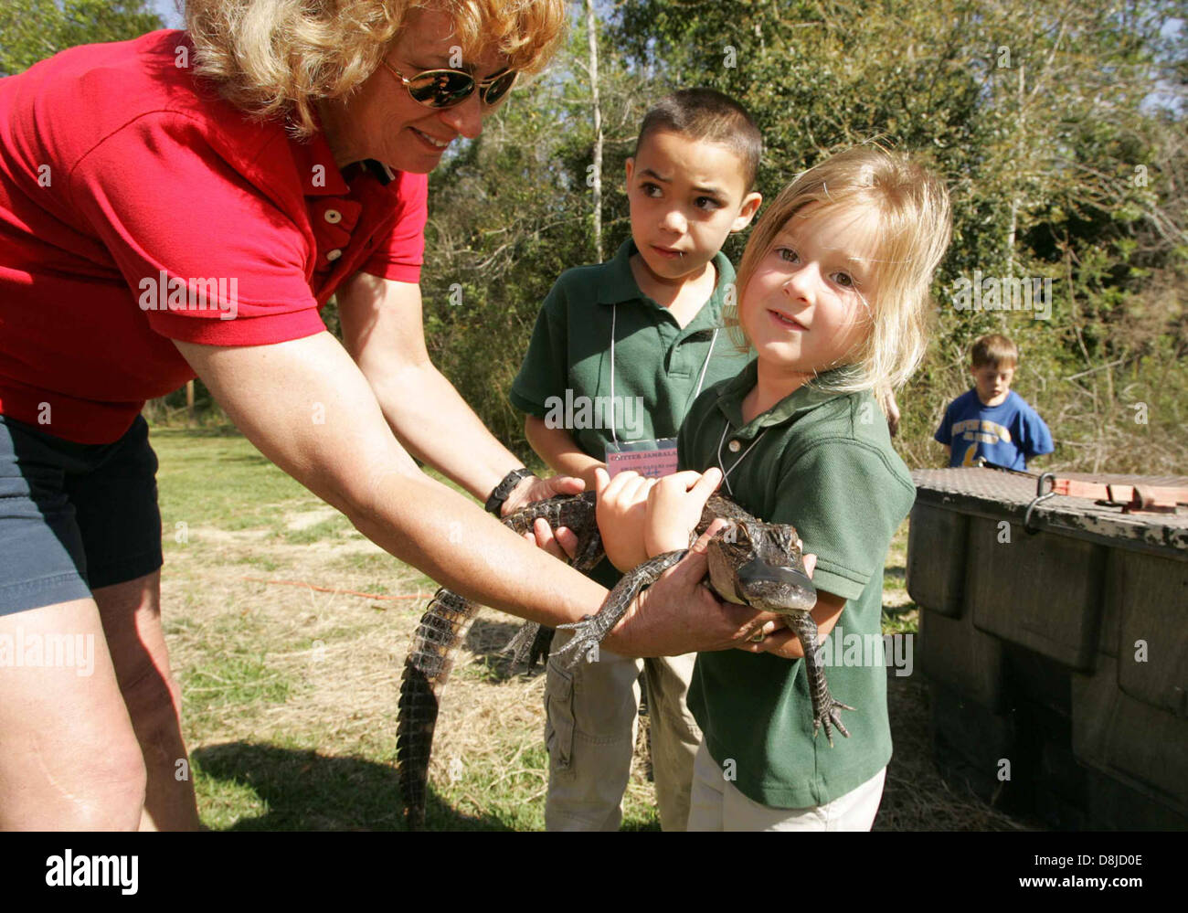 A young girl holding a small alligator. The image shows her interacting ...