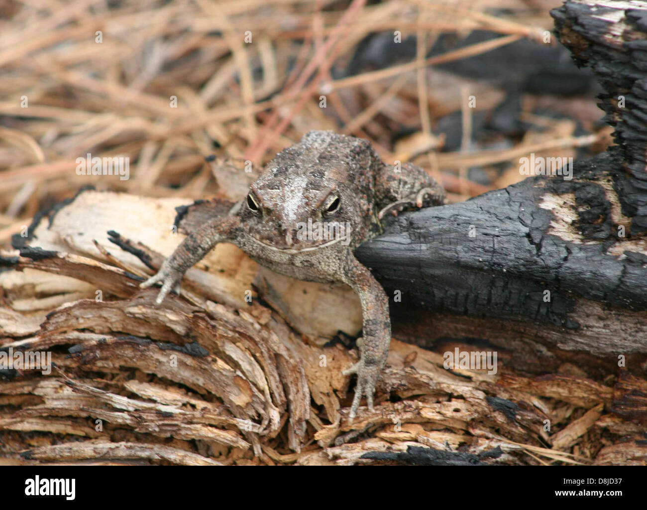 Dark areas highlights hi-res stock photography and images - Alamy