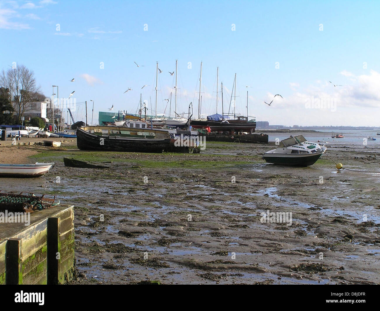 Shoreline low tide exposing hi-res stock photography and images - Alamy