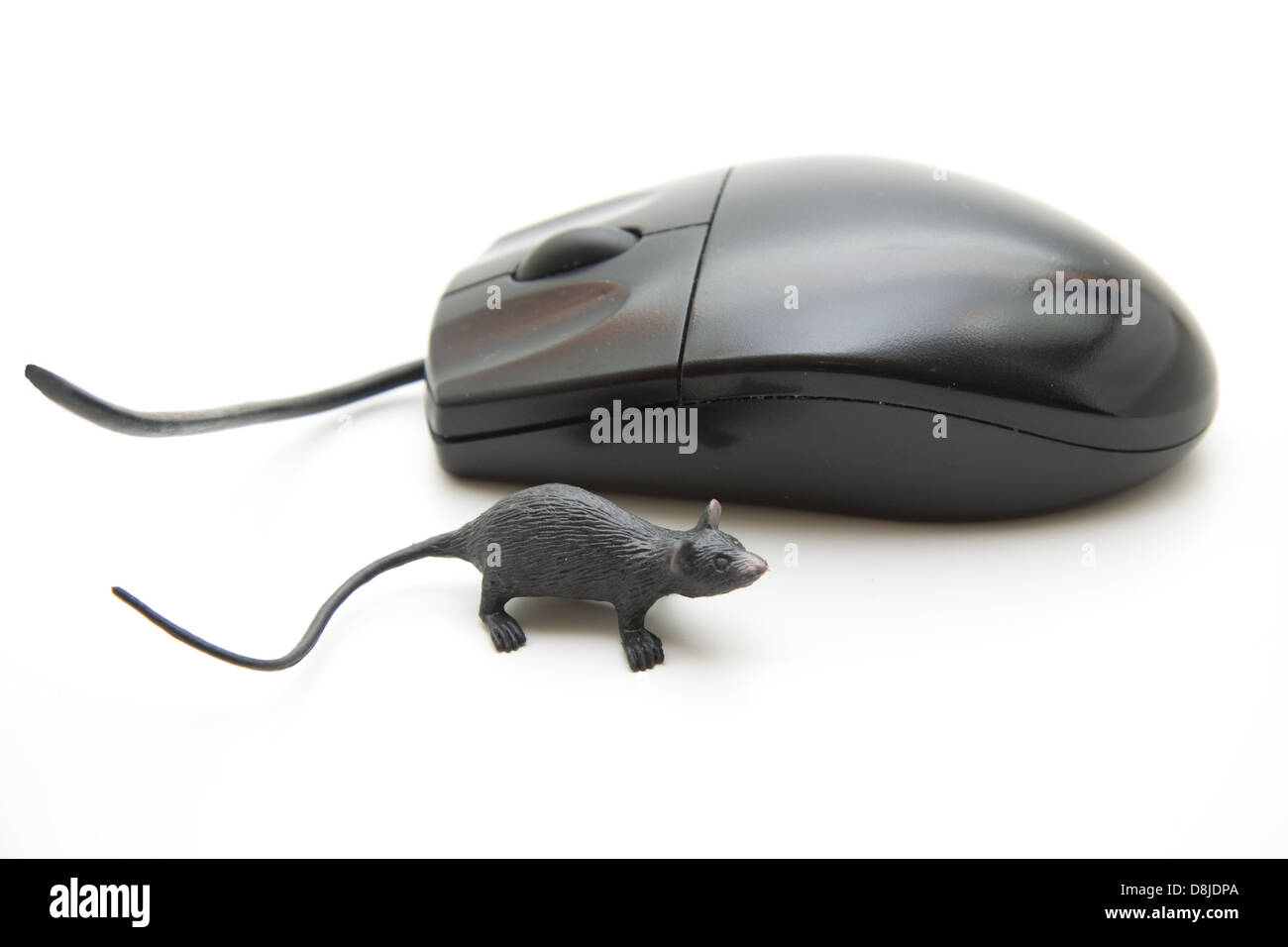 Maus mouse Cut Out Stock Images & Pictures - Alamy
