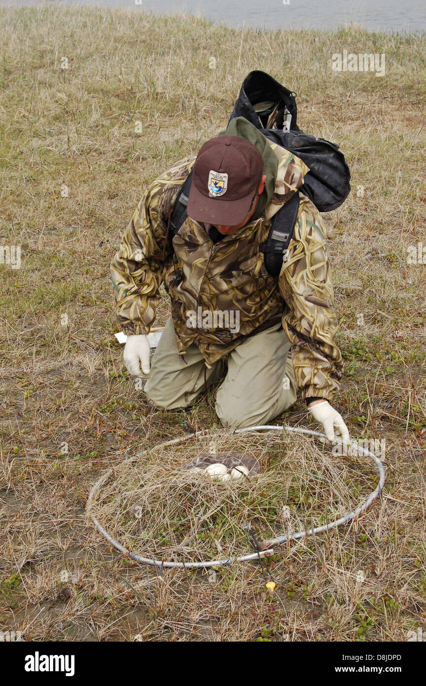 A male figure lying on grass, captured in a relaxed position. The image ...