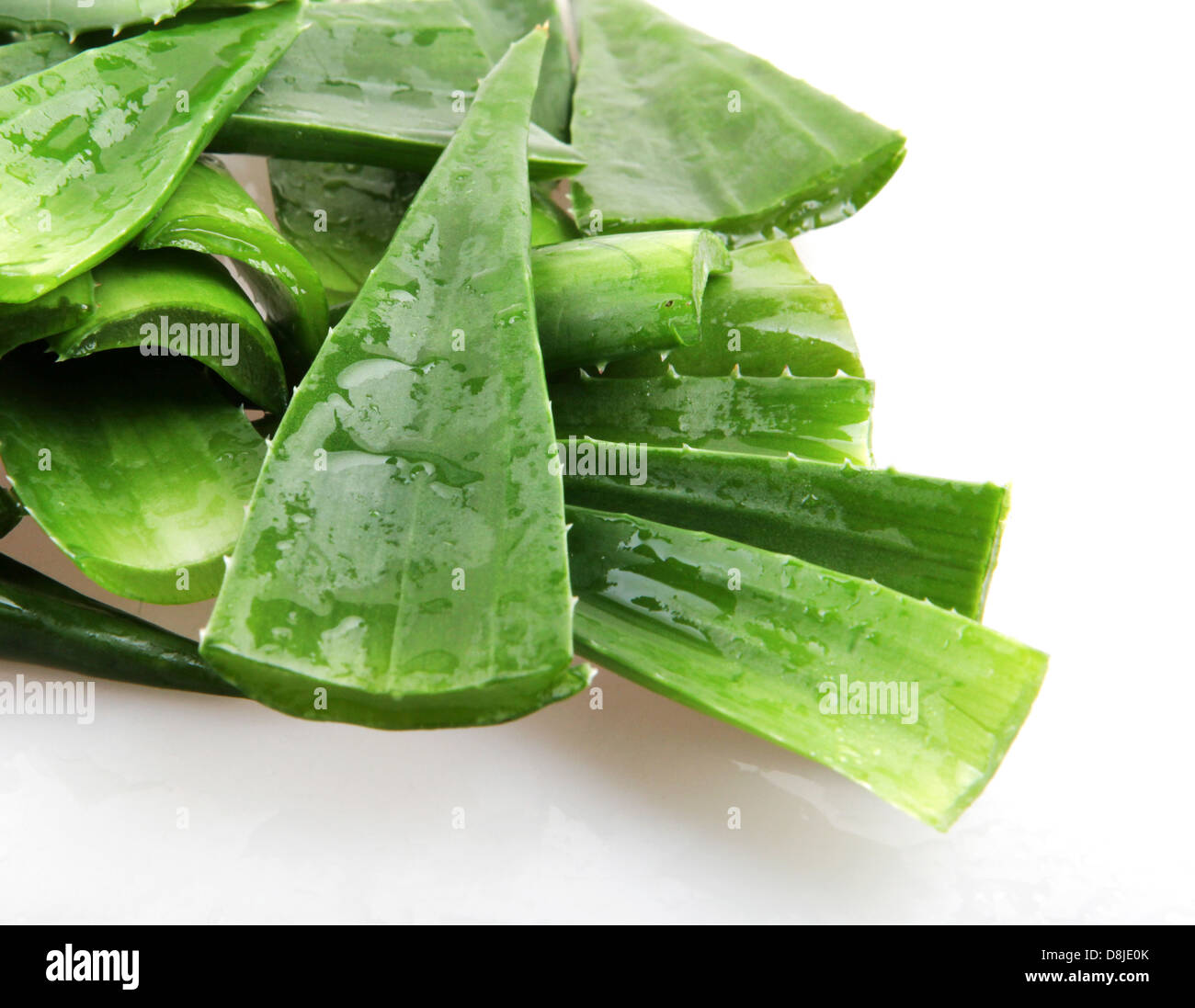 Aloe vera plant isolated on white Stock Photo - Alamy
