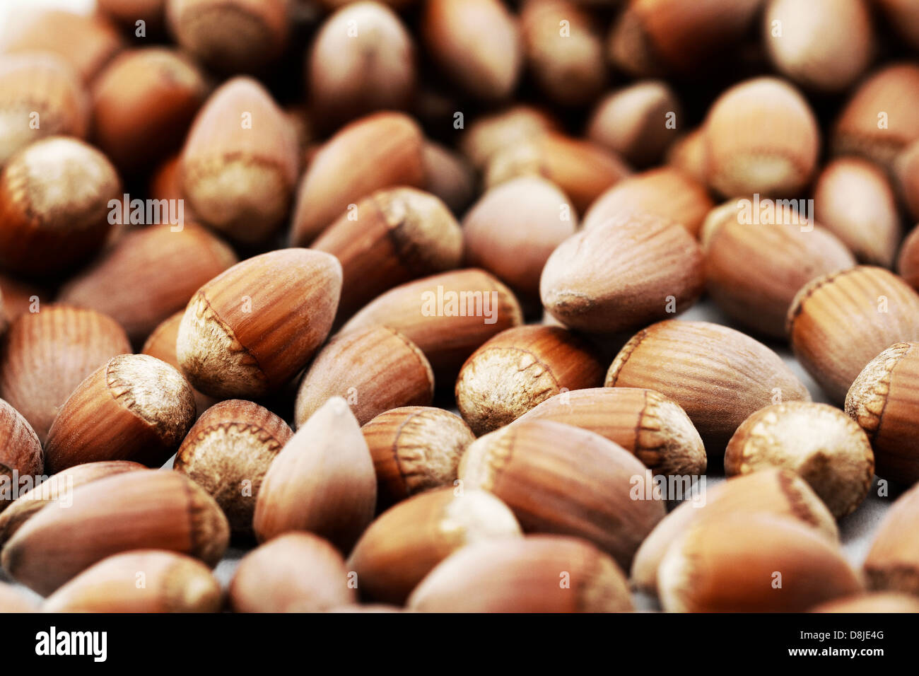 Hazelnut close up isolated (background Stock Photo - Alamy