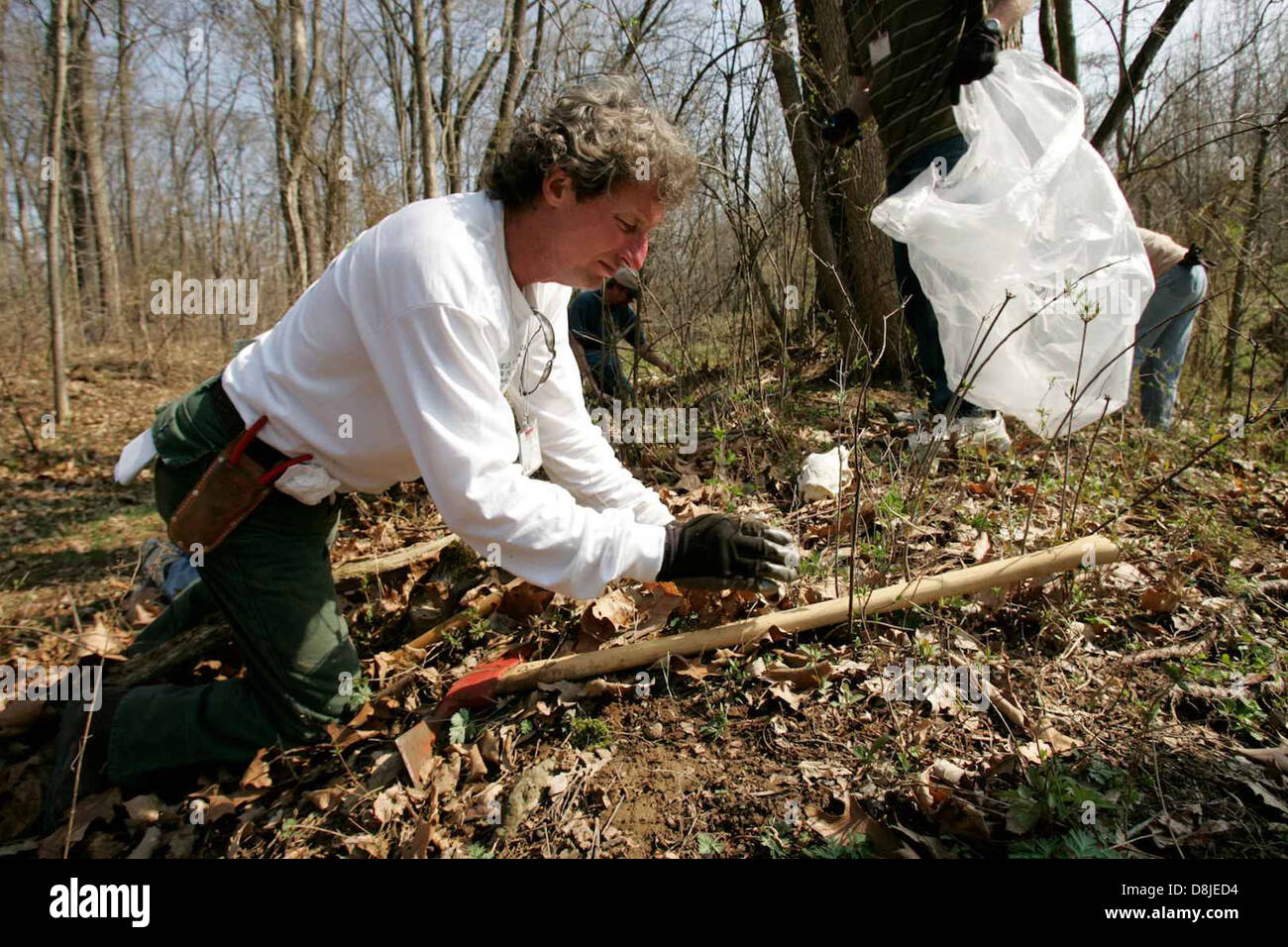 A man is seen working in the forest, performing tasks such as cutting ...