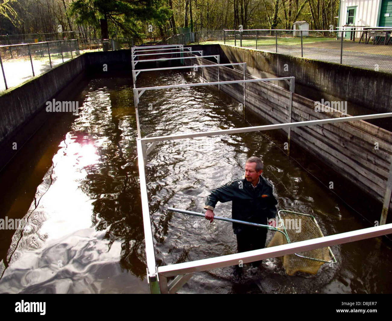 Man standing in big water tank with big hand net Stock Photo - Alamy