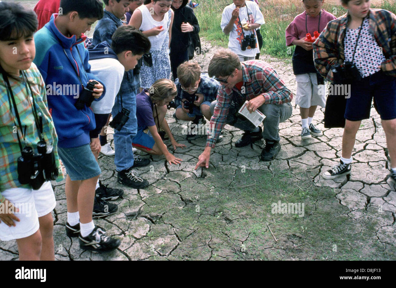 A man is teaching a group of children about nature in an outdoor ...