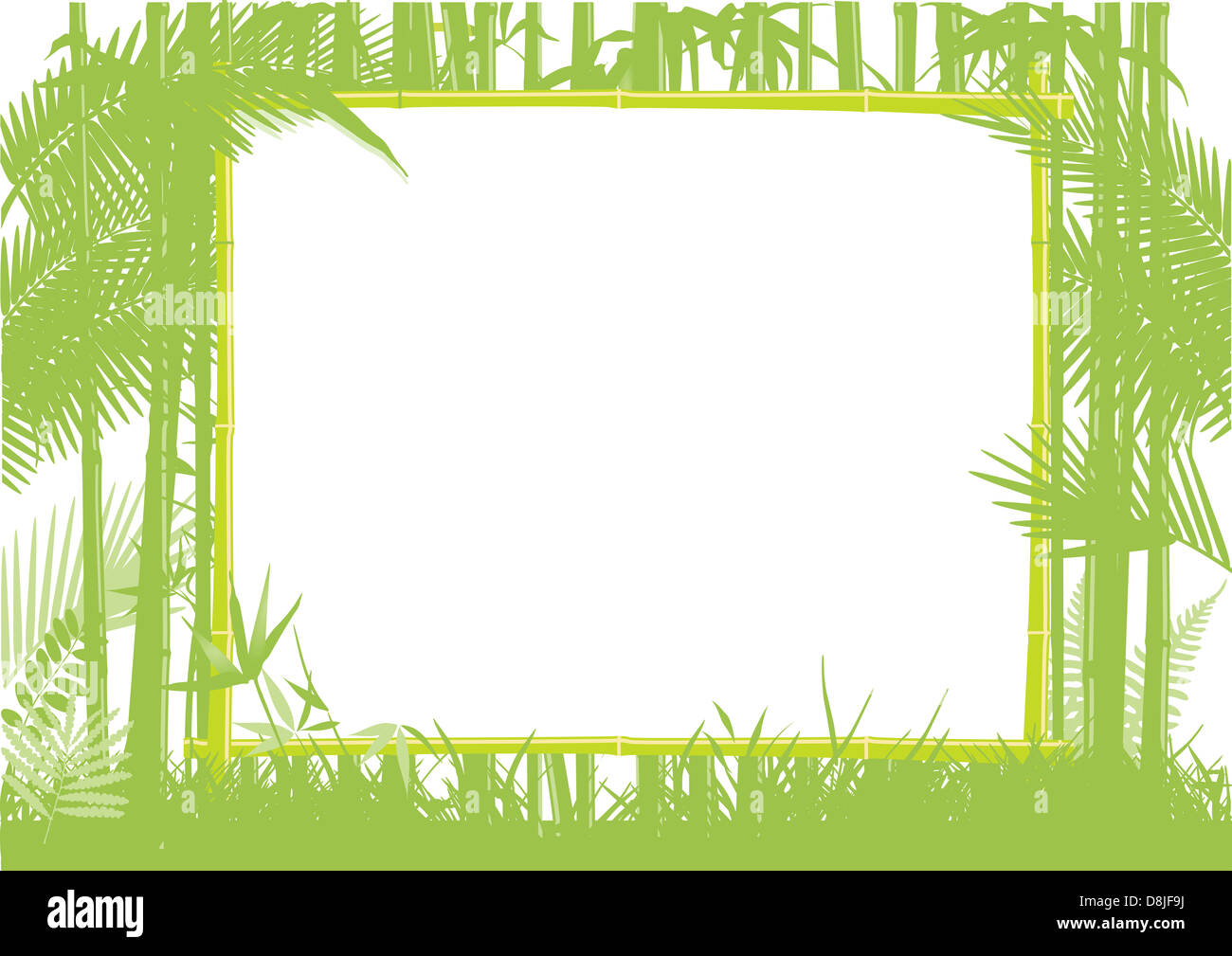 Jungle frame hi-res stock photography and images - Alamy