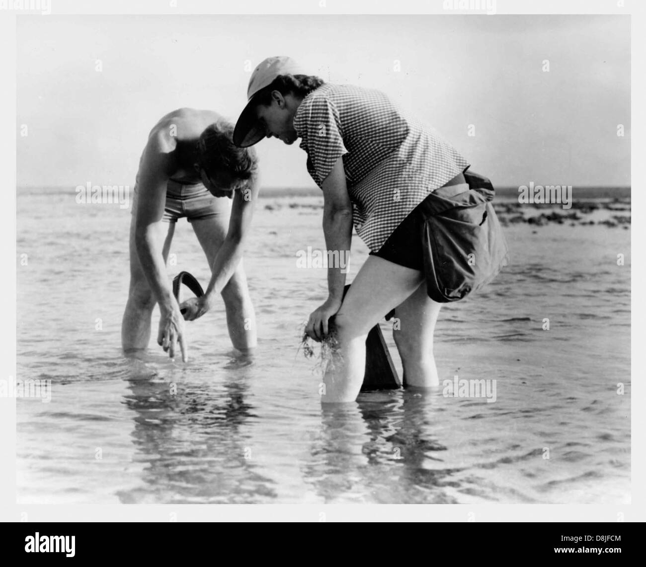 Marine biology research focused on the study of ocean ecosystems ...