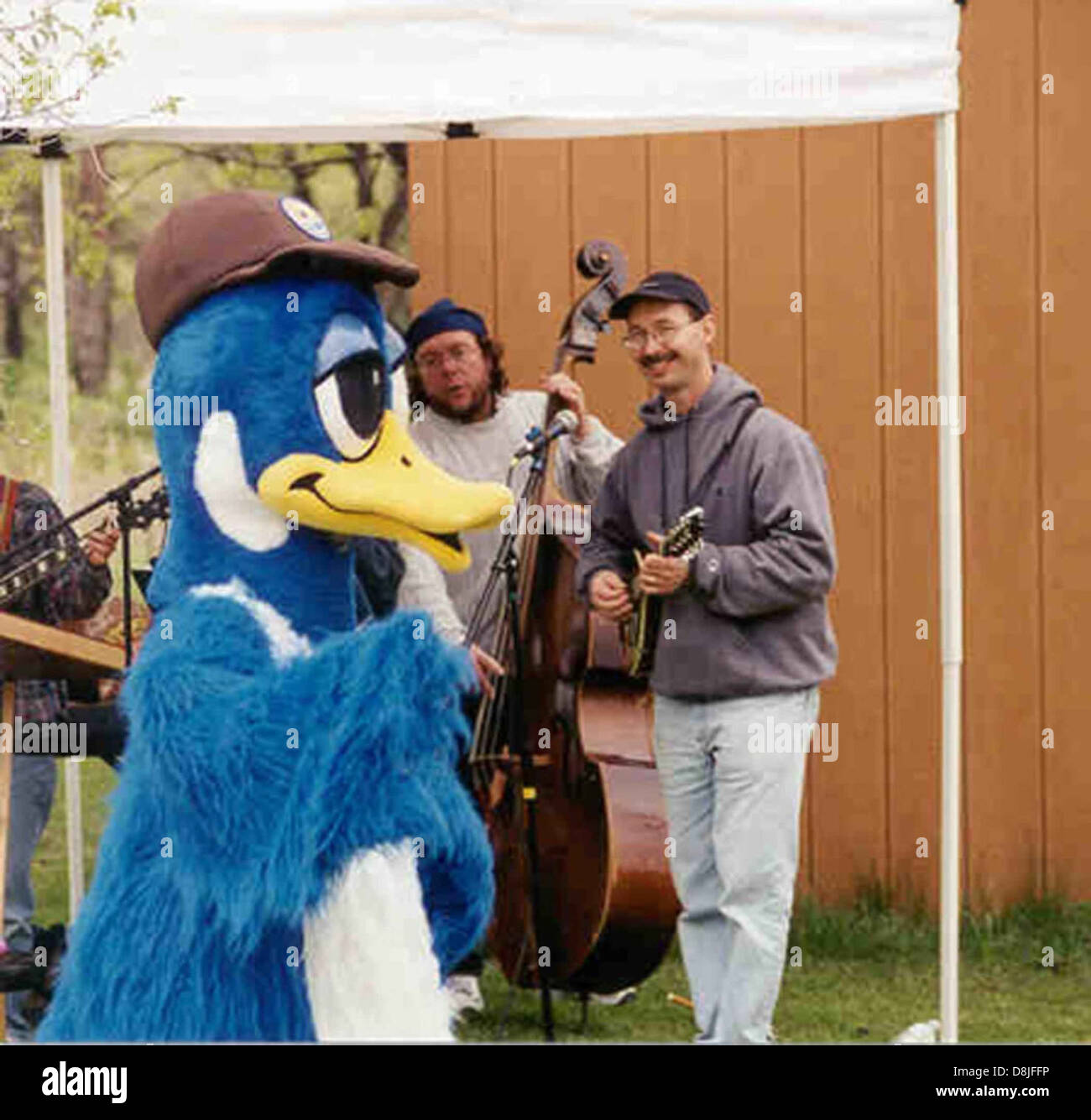 A mascot in the shape of a duck dances energetically while musicians ...