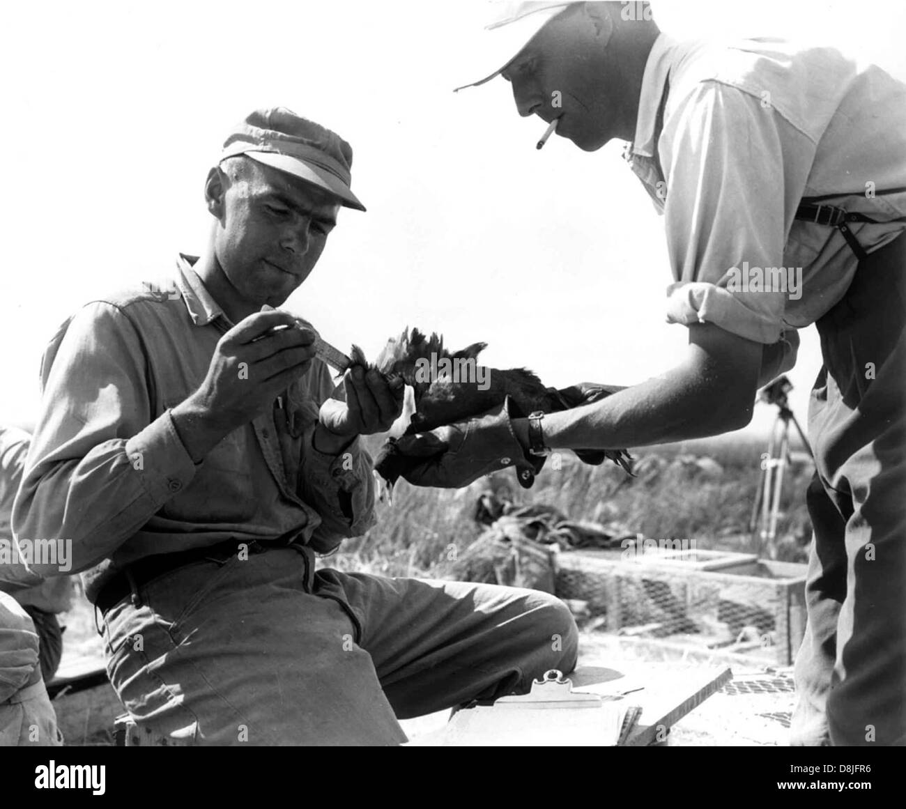 Vintage scene showing two hi-res stock photography and images - Alamy