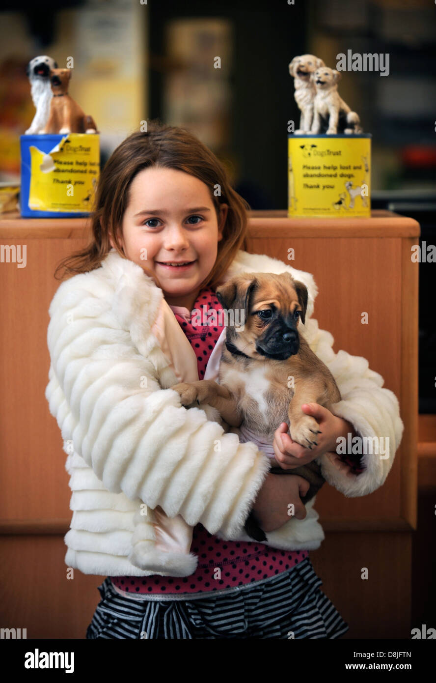 Charity collecting tins uk hi-res stock photography and images - Alamy
