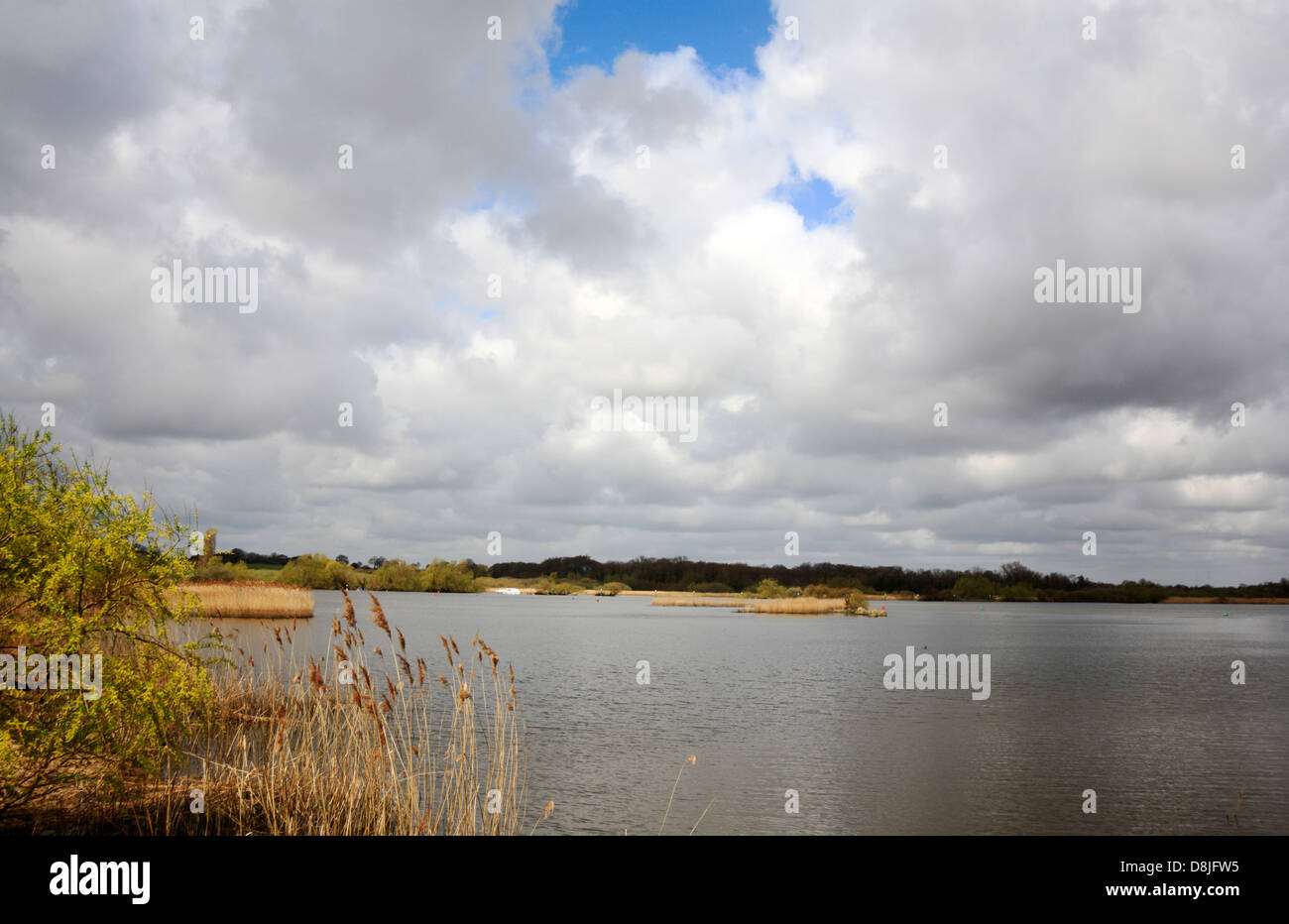 A view of Rockland Broad on the Norfolk Broads at Rockland St Mary ...