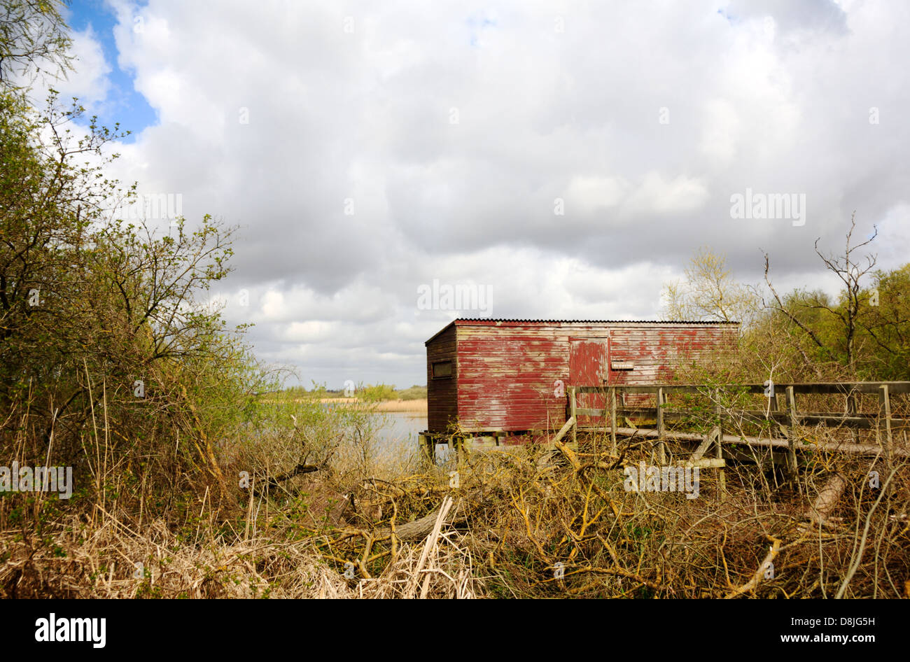 A bird hide with bridge access on the Norfolk Broads by Rockland Broad ...