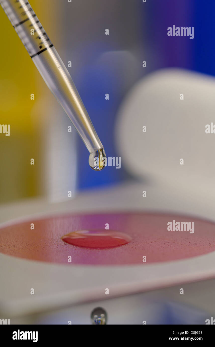 Drip drop from pipette close hi-res stock photography and images - Alamy