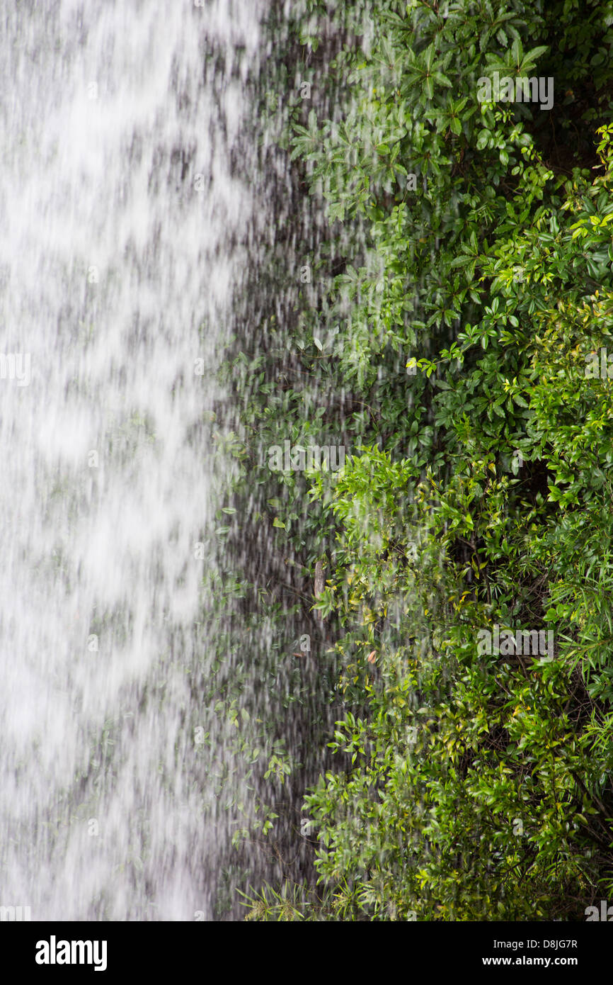 Water falling from a waterfall into lush green vegetation, Royal ...
