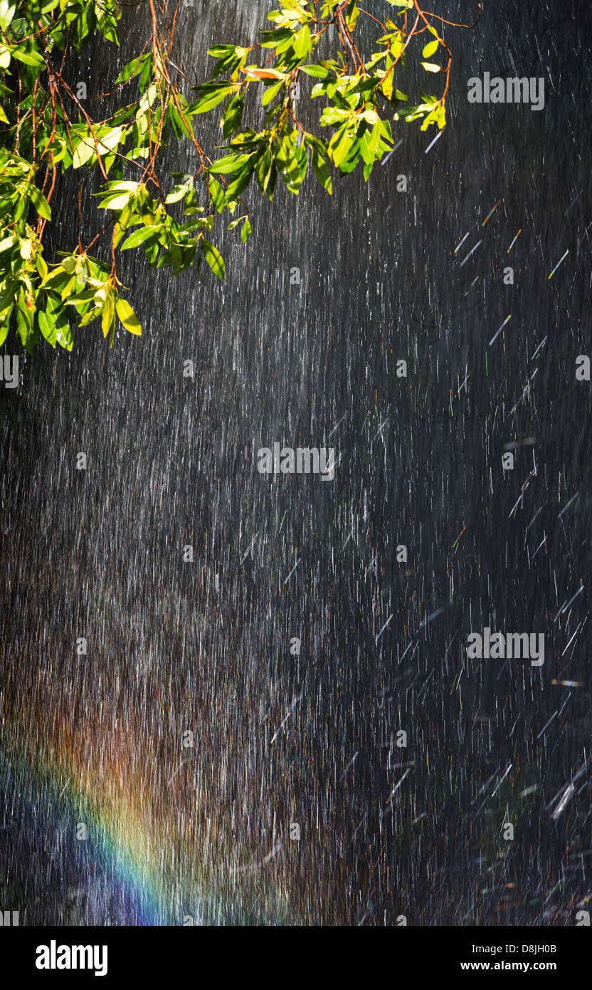 Light refracting causing a rainbow effect on water spraying from a ...