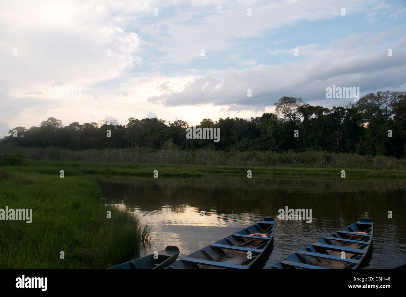 three peruvian boats in the foreground of the amazon Stock Photo - Alamy
