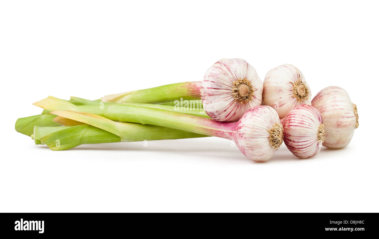 garlic bunch on white background Stock Photo - Alamy